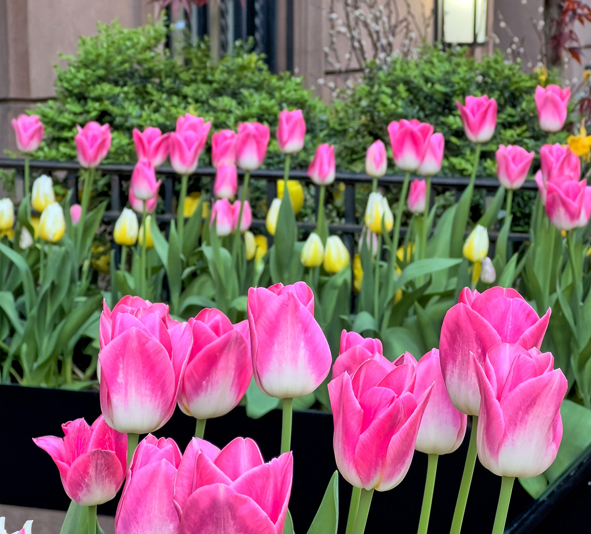Welcome Home to the Upper West Side. Only in New York (at The Phillips ...